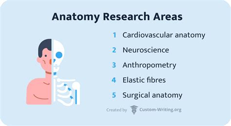 491 Medical And Healthcare Research Topics For College Students