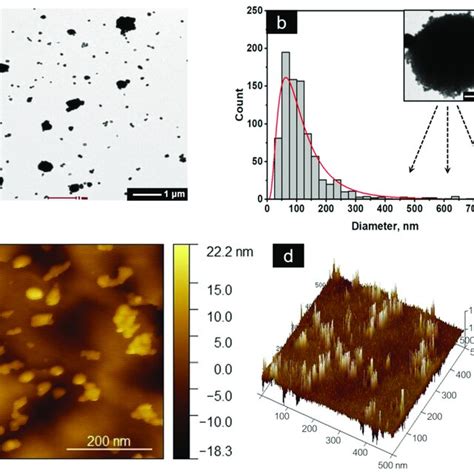 A Tem Image Of The Agnps B Corresponding Particle Size