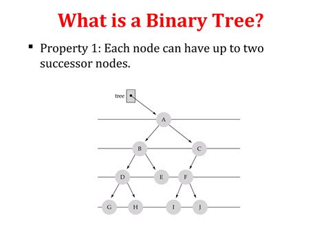 Binary Search Tree Ppt