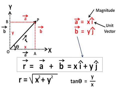 Learningcafe Scalar And Vector
