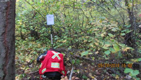 Forest Fuel Characterization At The Quesnel Airport Fuel Management