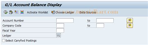 FS10N SAP Tcode Balance Display