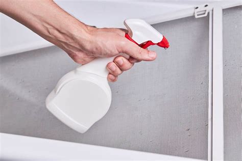 How To Get Rid Of Lizards Quickly And Humanely Bob Vila