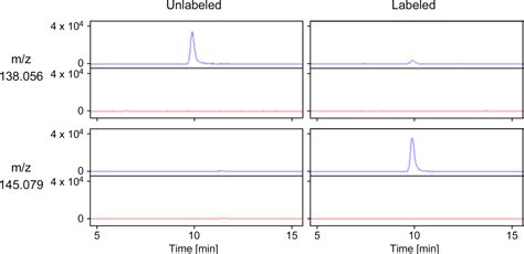 Figure 3 From New Gene Responsible For Para Aminobenzoate Biosynthesis Semantic Scholar