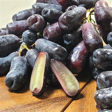 홈 제품 피드백