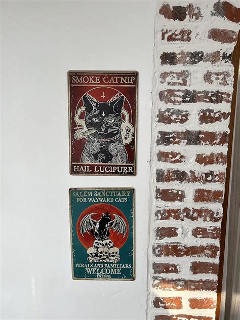 Cartel De Metal Vintage Con Diseño De Gato Negro Y Gato Café Póster De