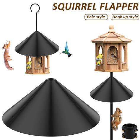 Bird Feeder Pole And Baffle At Cody Learmonth Blog