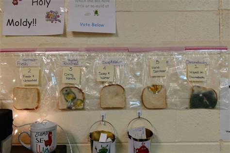 Disgusting Classroom Experiment Proves You Really Should Wash Your Han