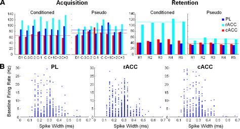 Figure 3 From Functional Reorganization Of A Prefrontal Cortical Network Mediating Consolidation