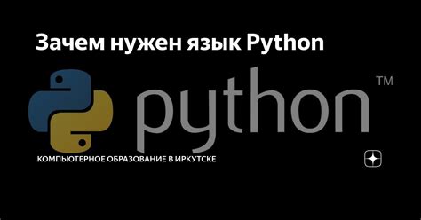 Зачем нужен язык Python Компьютерное образование в Иркутске Дзен