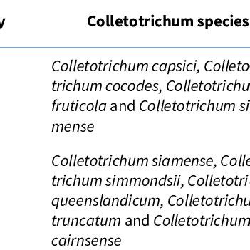 Geographic Distribution Of Colletotrichum Species On Chilli Download