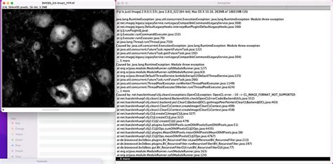 3d cell segmentation median filter limit in voronoi threshold labeler