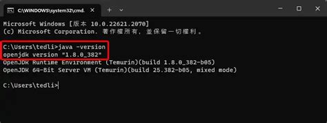 Windows 安裝 Openjdk 8 偵錯桐人