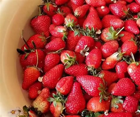 Тайната за съхранение на ягоди без варене и замразяване Никакво варене