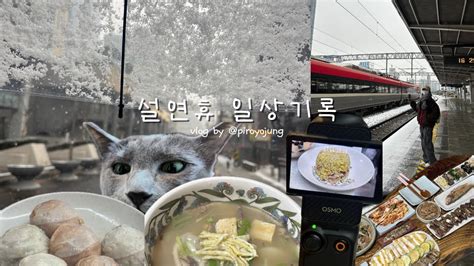 📸 설연휴 브이로그 함박눈이 따뜻했던 봄방학가디마☃️ Youtube