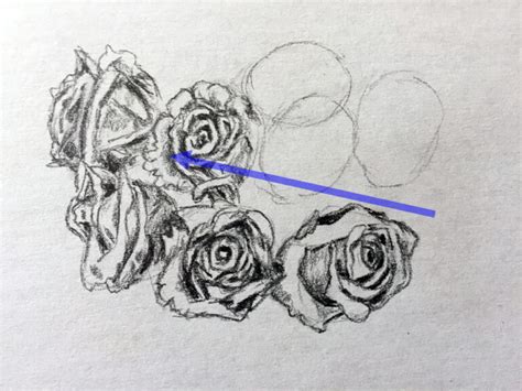 How To Draw A Bouquet Of Flowers Let S Draw Today