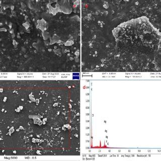 A C SEM Images In Different Scale And Corresponding D SEM EDX Download Scientific Diagram