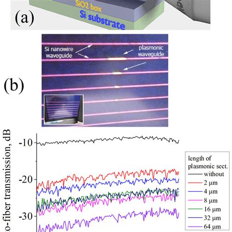 A Experimental Setup For Measuring The Propagation Loss Of A Surface Download Scientific