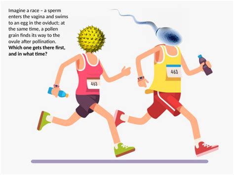 Reproduction A Complete Set Of Resources For Edexcel Igcse Biology Teaching Resources