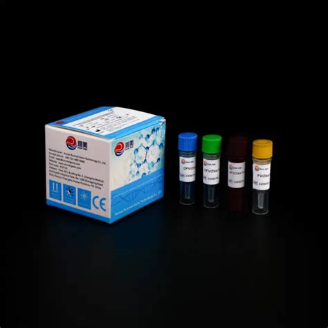 Pcr Test Kit Dengue Fever Virus Zika Virus Nucleic Acid Detection Kit Nucleic Acid Detection