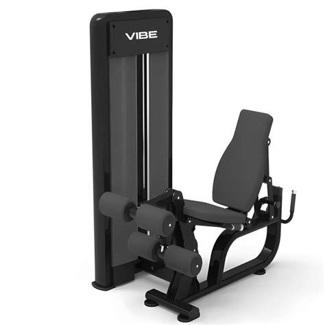 Leg Extension Leg Curl Vibe