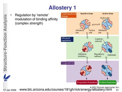 Ppt Dna Protein Structure Function Analysis And Prediction Powerpoint Presentation Id 2962113
