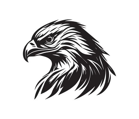 Hawk Face Silhouettes Hawk Face Black And White Hawk Vector 23168081