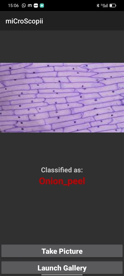 Smart Microscopic Computer Vision And Analytics 97 Devpost