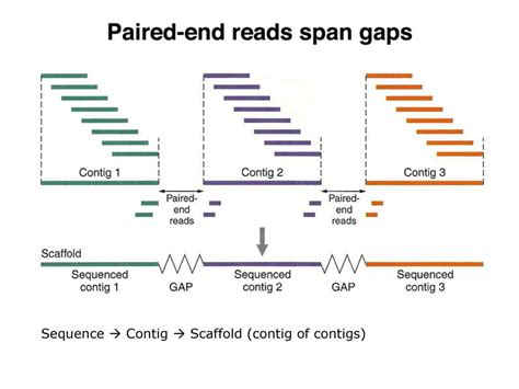Todays Lecture Topics Ppt Download