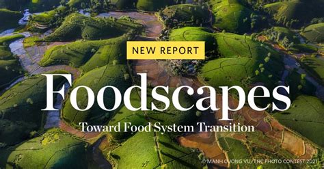 Michelle Downs Posted On Linkedin