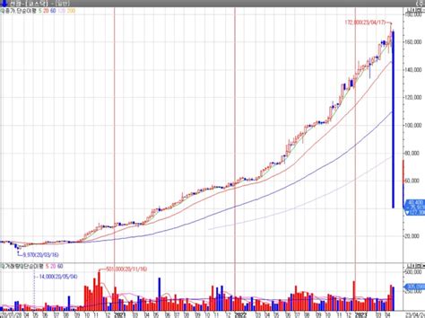 선광 대성홀딩스