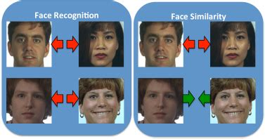 Finding Your Lookalike Measuring Face Similarity Rather Than Face Identity DeepAI