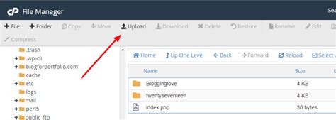 Cara Install Theme Wordpress Dari Cpanel Tutorial Wordpress