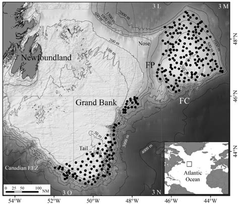 Map Showing The Locations Of Grand Bank Flemish Cap Fc And Flemish