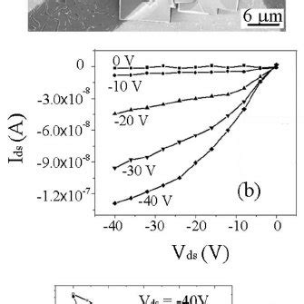 A SEM Images Of The Top Contact Transistor Length Of 10 M Download Scientific Diagram