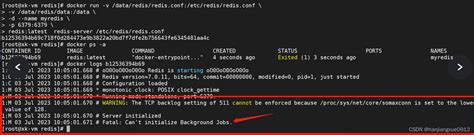 Docker运行redis镜像失败：闪退fatal Cant Initialize Background Jobs Error Mes