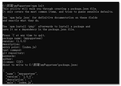 Puppeteer 安装及失败原因 yaolan 博客园
