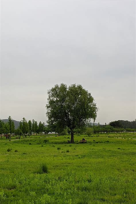 두물머리 북한강과 남한강이 만나는 곳