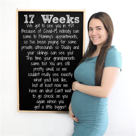 17 Weeks Pregnant Fetus Size