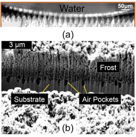 Perspective Chapter Challenges In The Durability Of Superhydrophobic