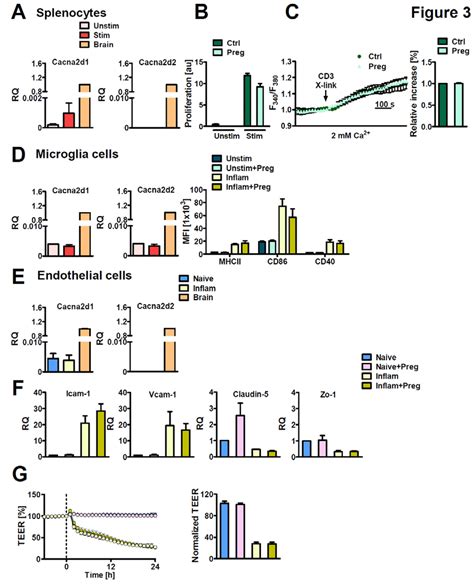Other Eaems Relevant Cell Types Show No Response To Pregabalin