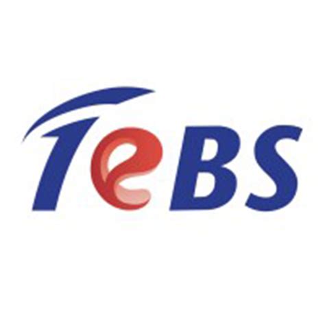 Total Ebiz Solutions Pte Ltd Denodo