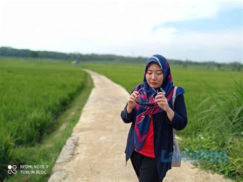 Xiaomi Redmi Note Review Performa Memuaskan Baterai Bisa Diandalkan Laptophia