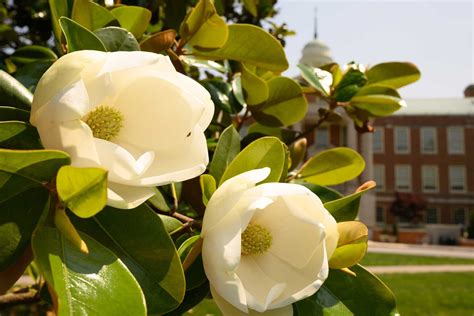 Workday Workstream Teams Workday