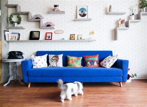 The Cat Cabin The New Cats Pajamas Manual Jakarta