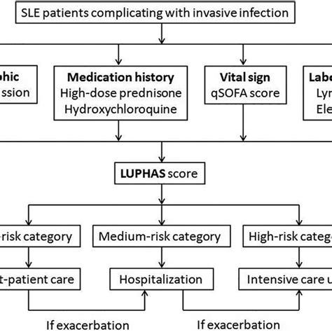 Recommended Triage Flow Chart For Sle Patients Complicated With