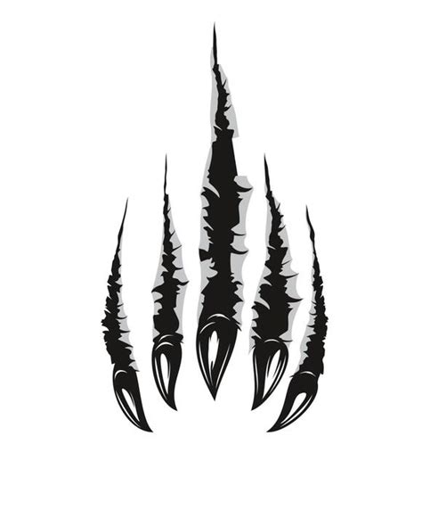 Bear Claw Vector Art Icons And Graphics For Free Download