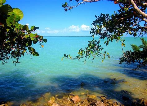 Walking Tour And Street Food In Calderitas Mexico