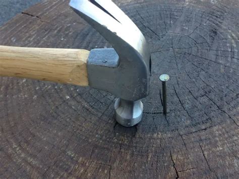 12 Unusual Projects Using Nails The Diy Life