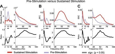 Figure 3 From The Effects Of Visual Stimulation And Selective Visual Attention On Rhythmic